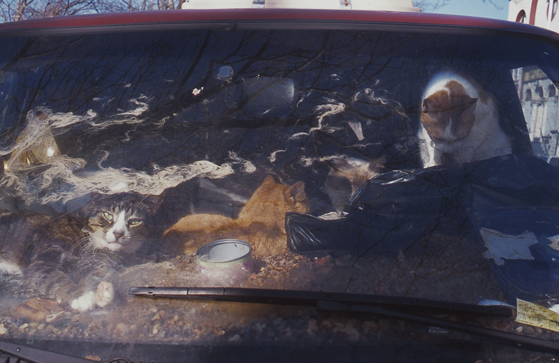 Jeremy Pollard Photographer - George